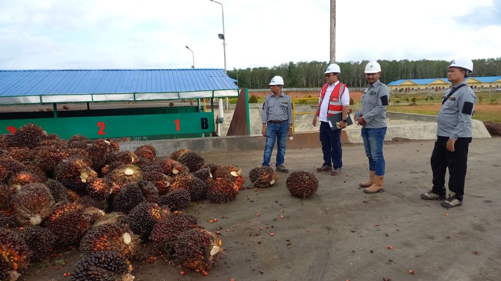 Stage-2 Audit of ISPO Certification of PT Batu Gunung Mulia Putra Agro ...